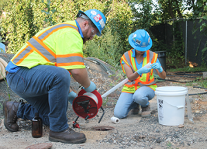 Geotechnical Laboratory Testing Services | ECS