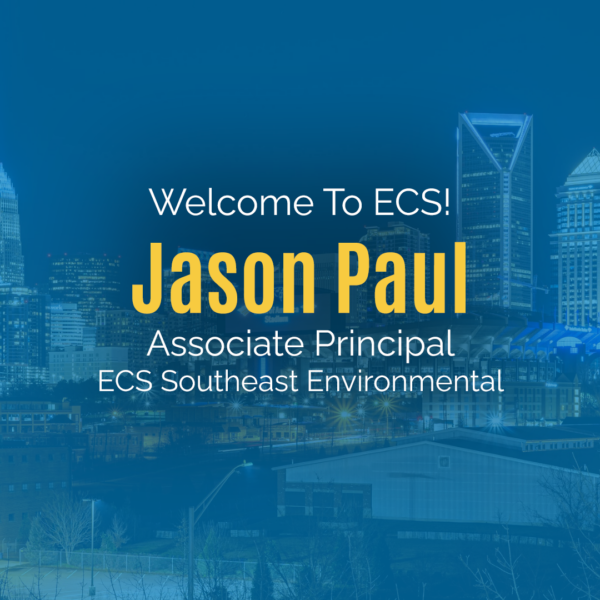 Press Releases Archive - ECSLimited
