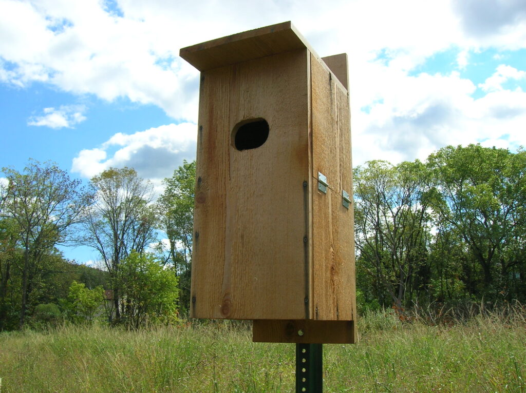 Biological Resource & Habitat Monitoring Services | ECS