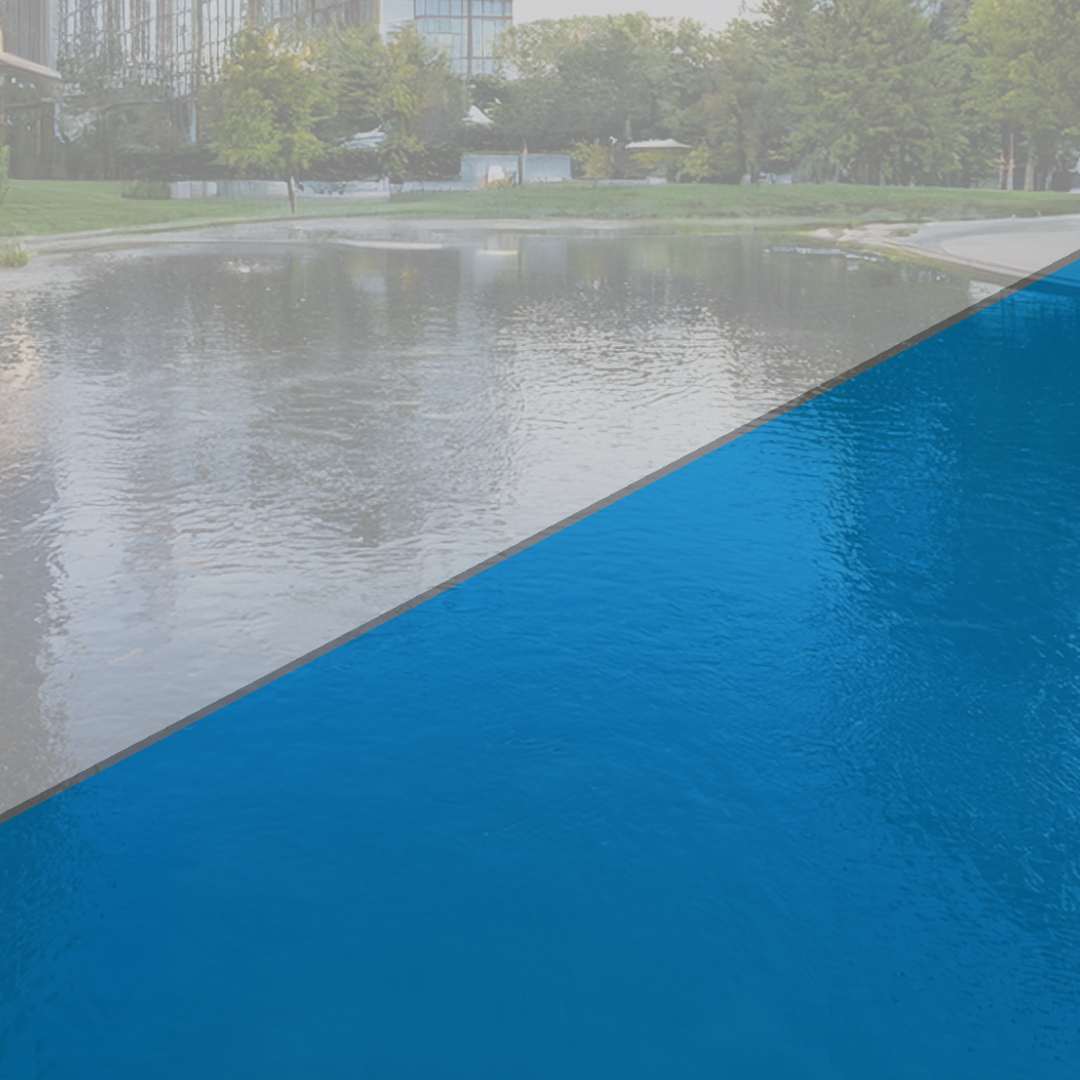 Wetland Assessment + Delineation: What, How + Why | ECS