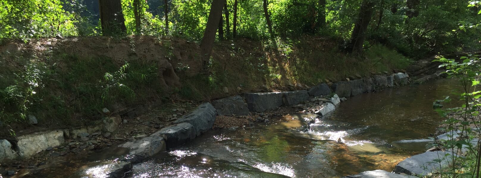 Floodplain and Stream Restoration | ECS