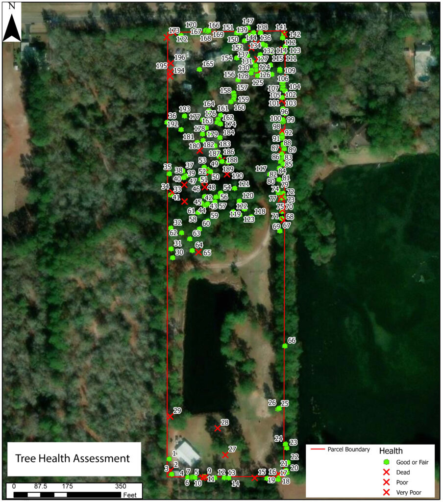 Tree and Forest Assessment and Conservation | ECS