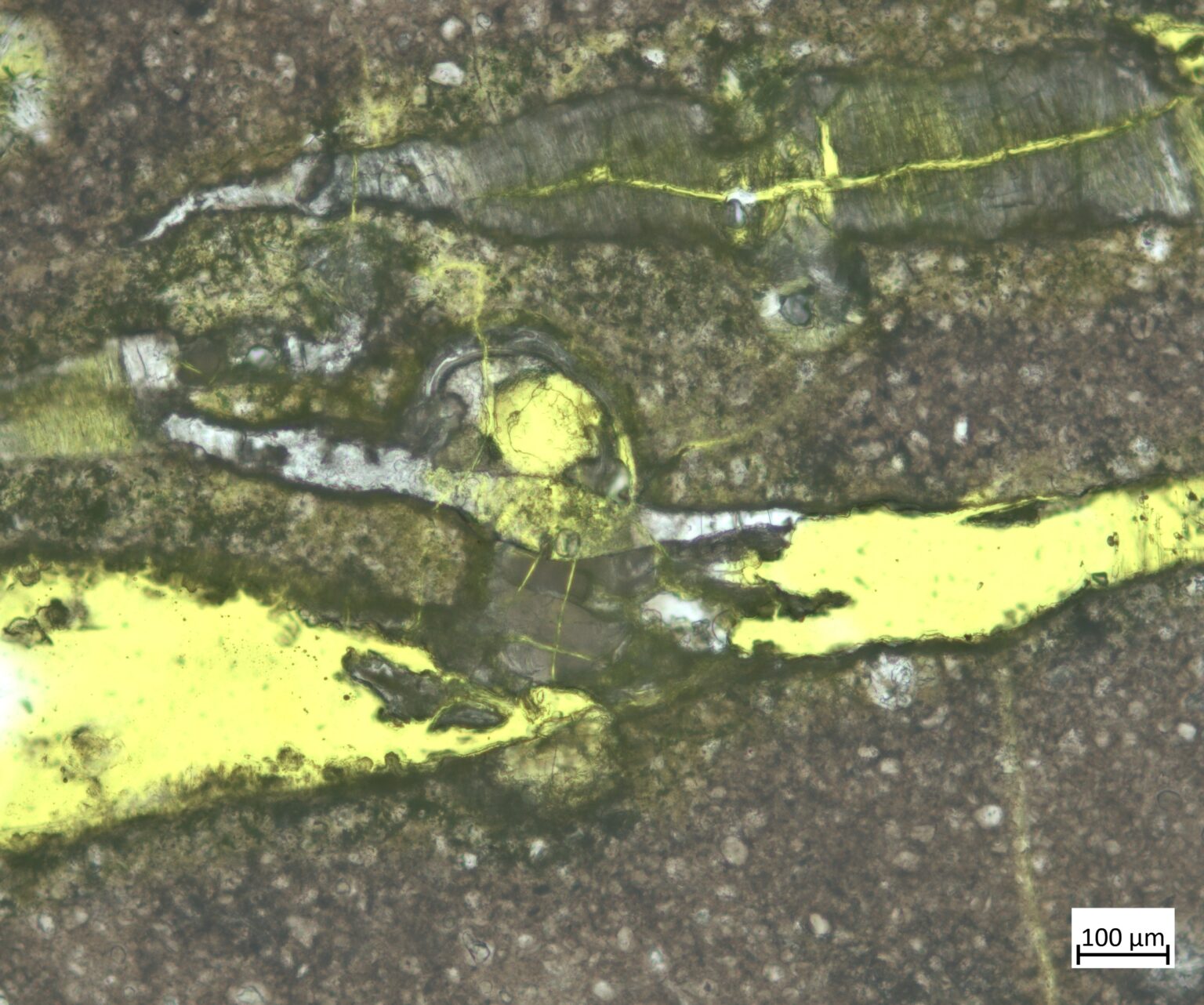 Materials Science Lab | ECS